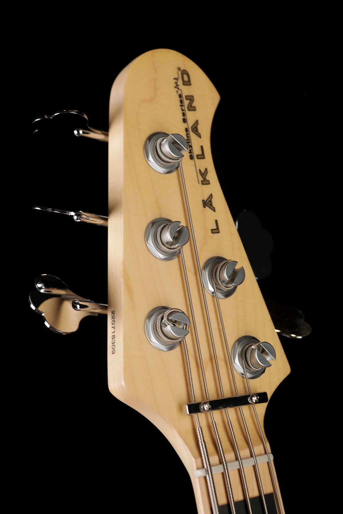 Lakland Skyline Darryl Jones DJ 5 String