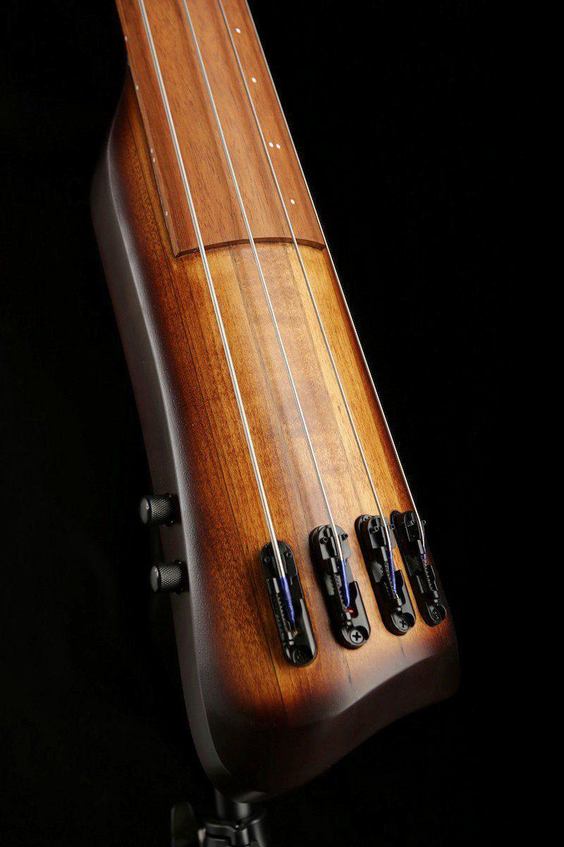 Electric Upright Basses