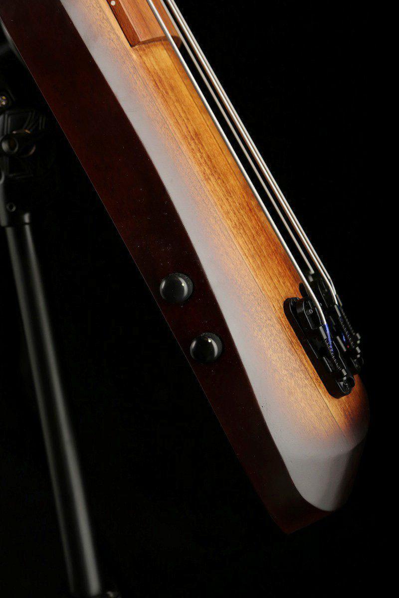 Electric Upright Basses
