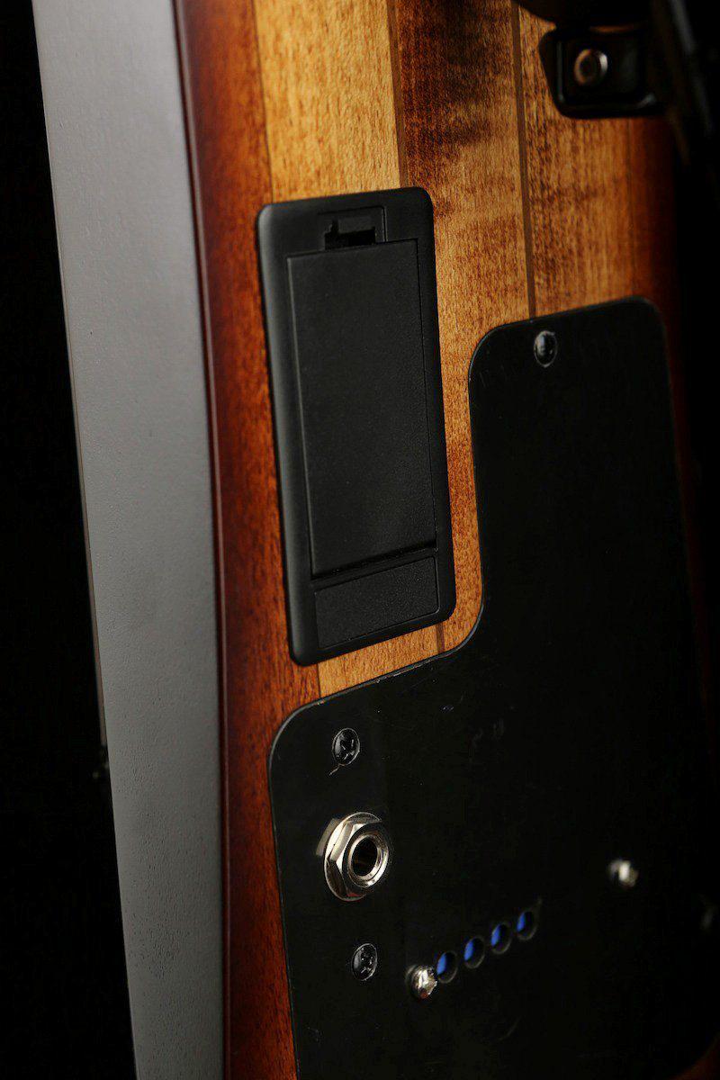 Electric Upright Basses